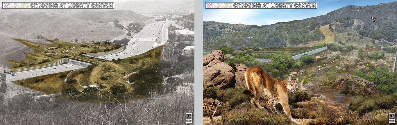 Nina-Marie Lister - Margolese National Design for Living Prize